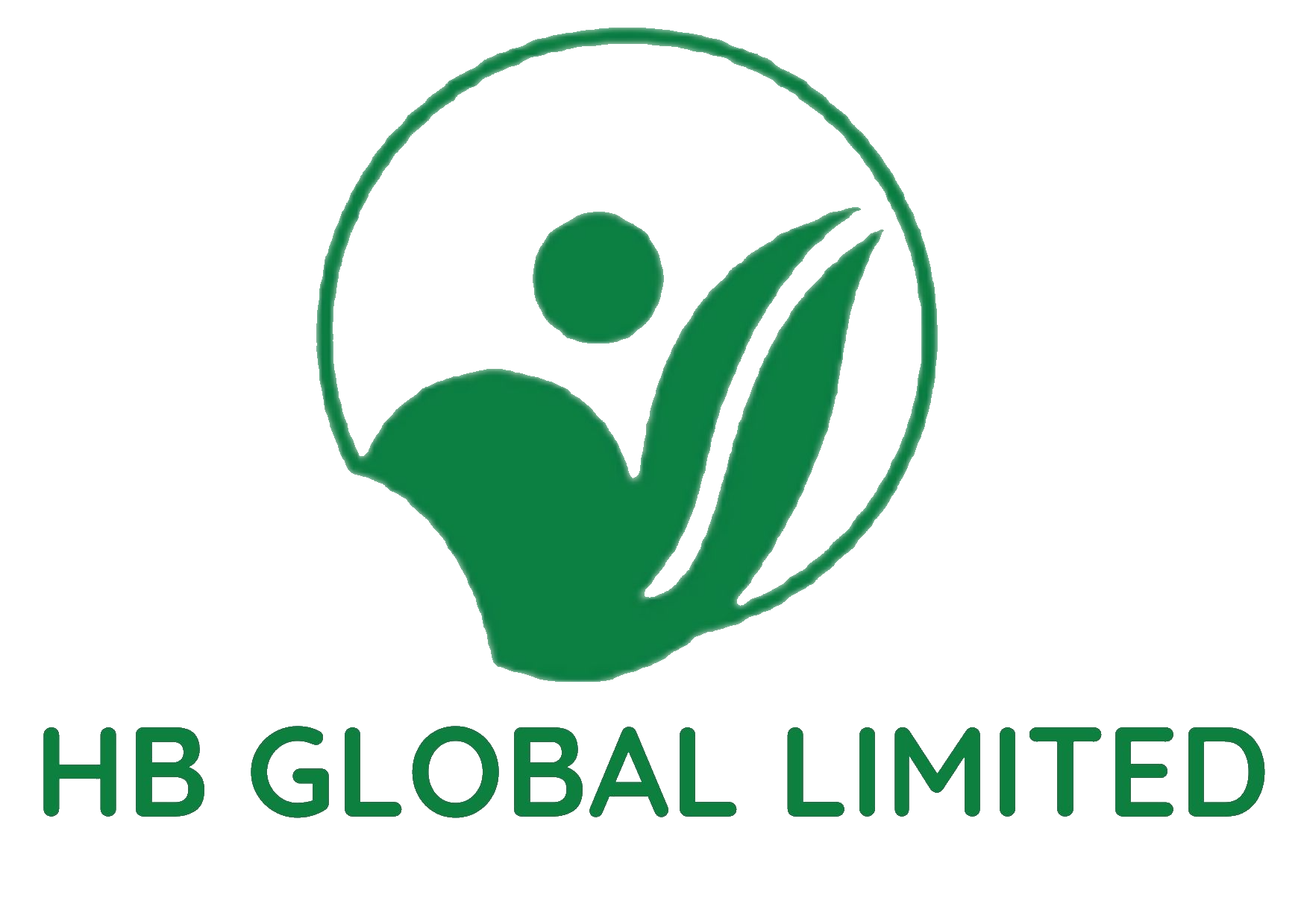 HB Global To Go Into Business Of Laying Fibre Optic Cables HB Global
